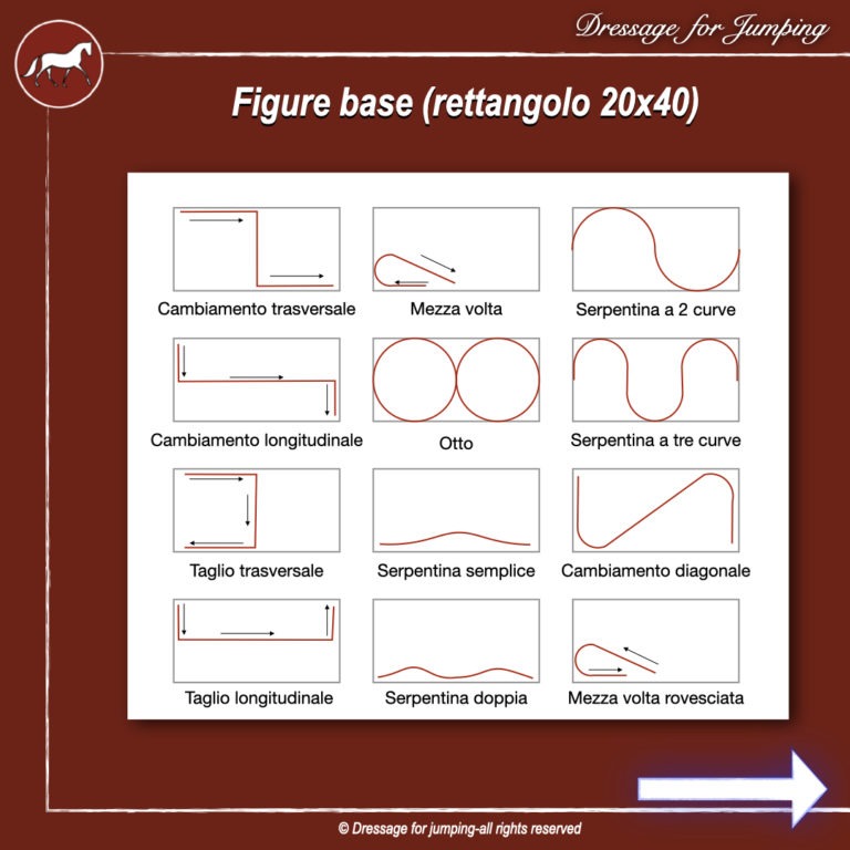 le figure di maneggio